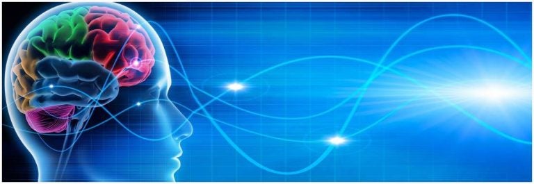 brain-banner – Wiltgen Lab